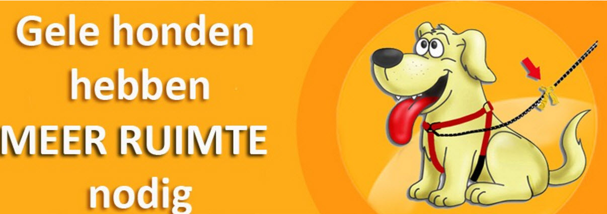 De gele hond – PuppyStar
